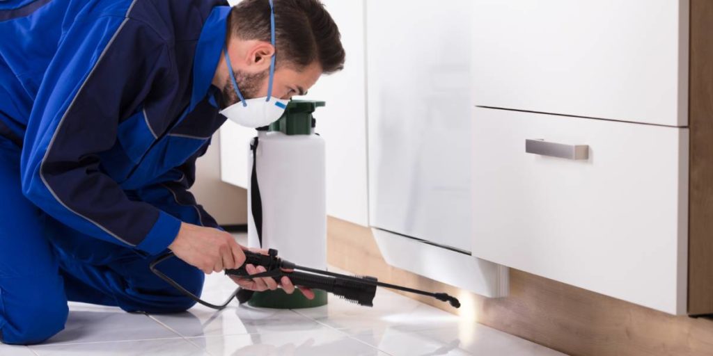 Effective Cockroach Pest Control | Precision Pest Control | Book Now